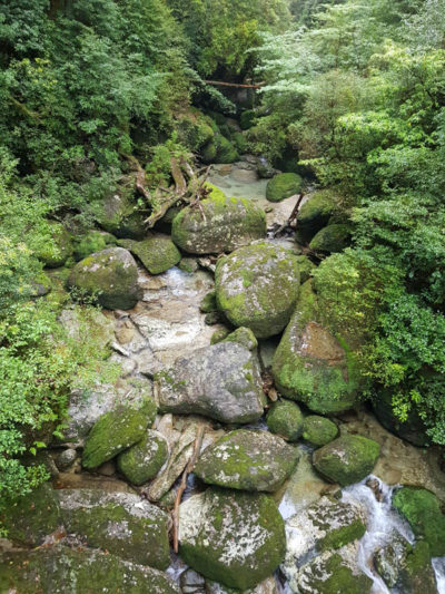 10+ Photos which will make you fall in Love with Yakushima (just like I ...